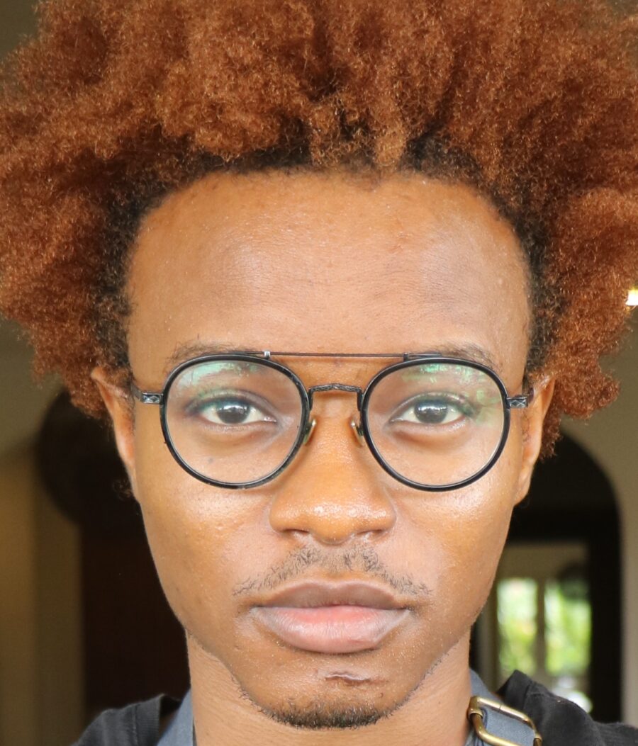 Michael Elegbede - The Africa Soft Power Project, and Africa Month, is ...